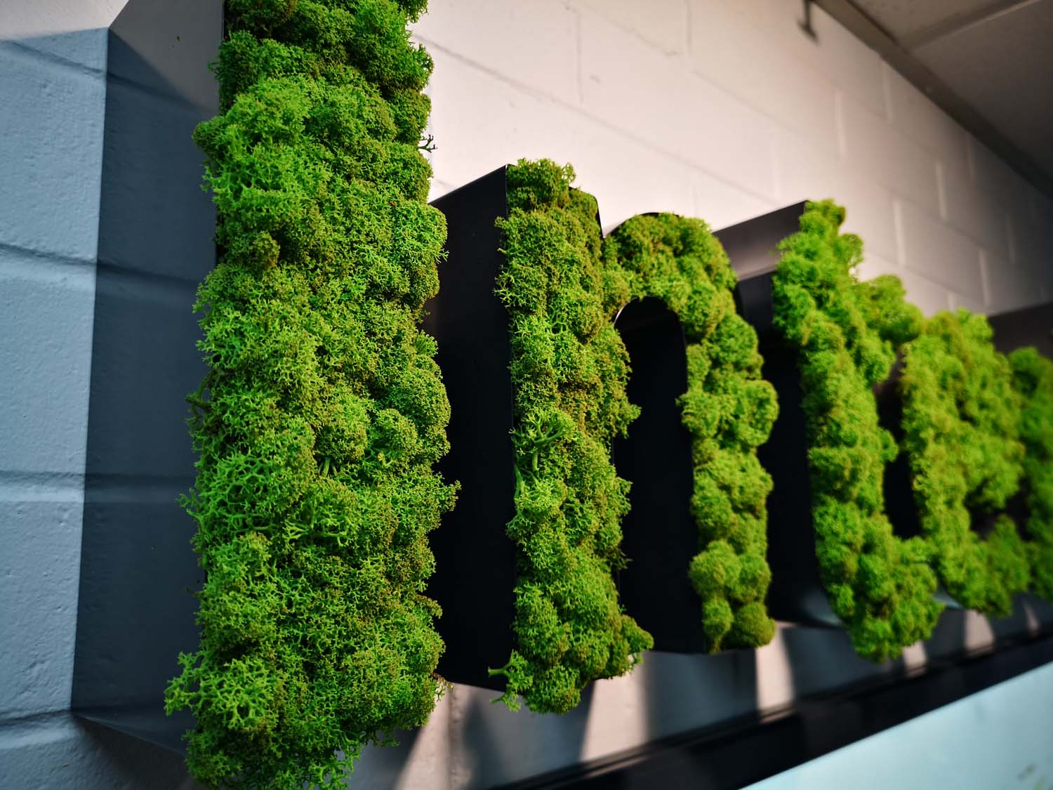 Living Signs! - LE Graphics