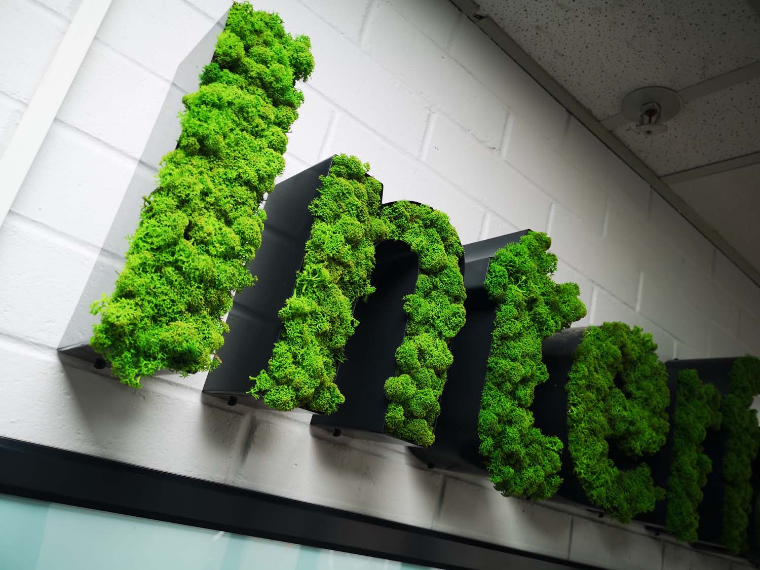 Living Signs! - LE Graphics